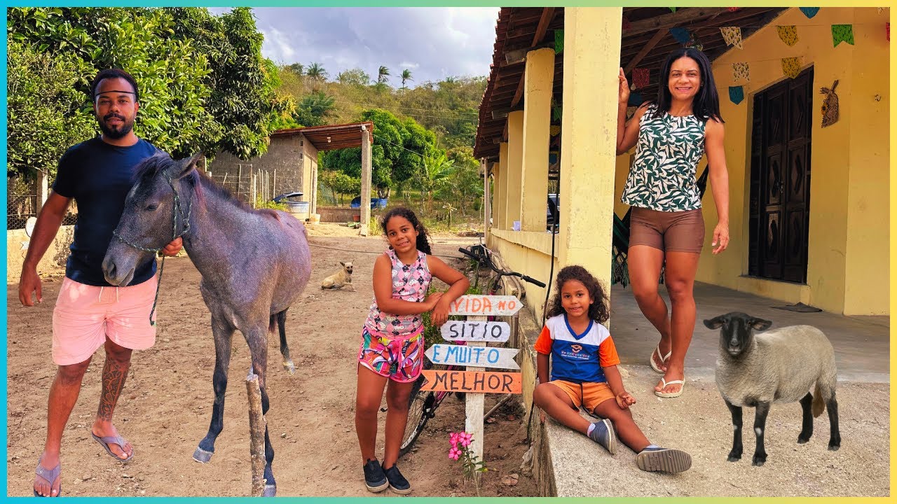 VLOG NO SÍTIO!!! JOABE PADSOU O DIA ORGANIZANDO TUDO. - YouTube