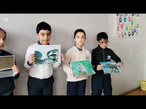 Qida zənciri 5ci sinif təbiət.