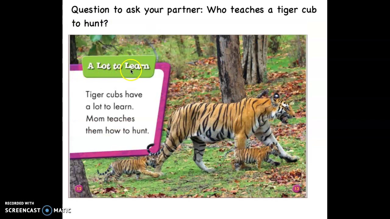 Nonfiction Reading Lesson 9 - YouTube