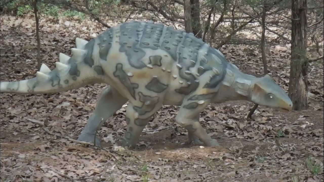 minmi sounds - YouTube