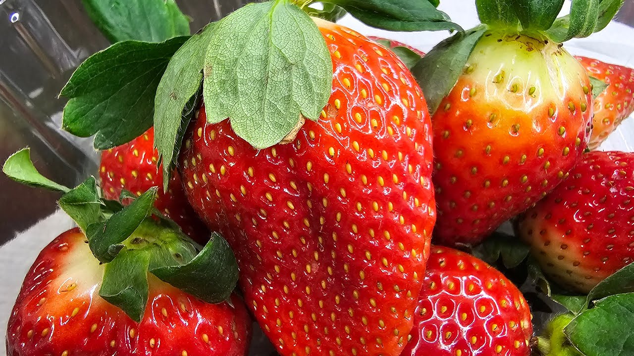 Enjoying my Seedless Strawberries || Satisfying - YouTube