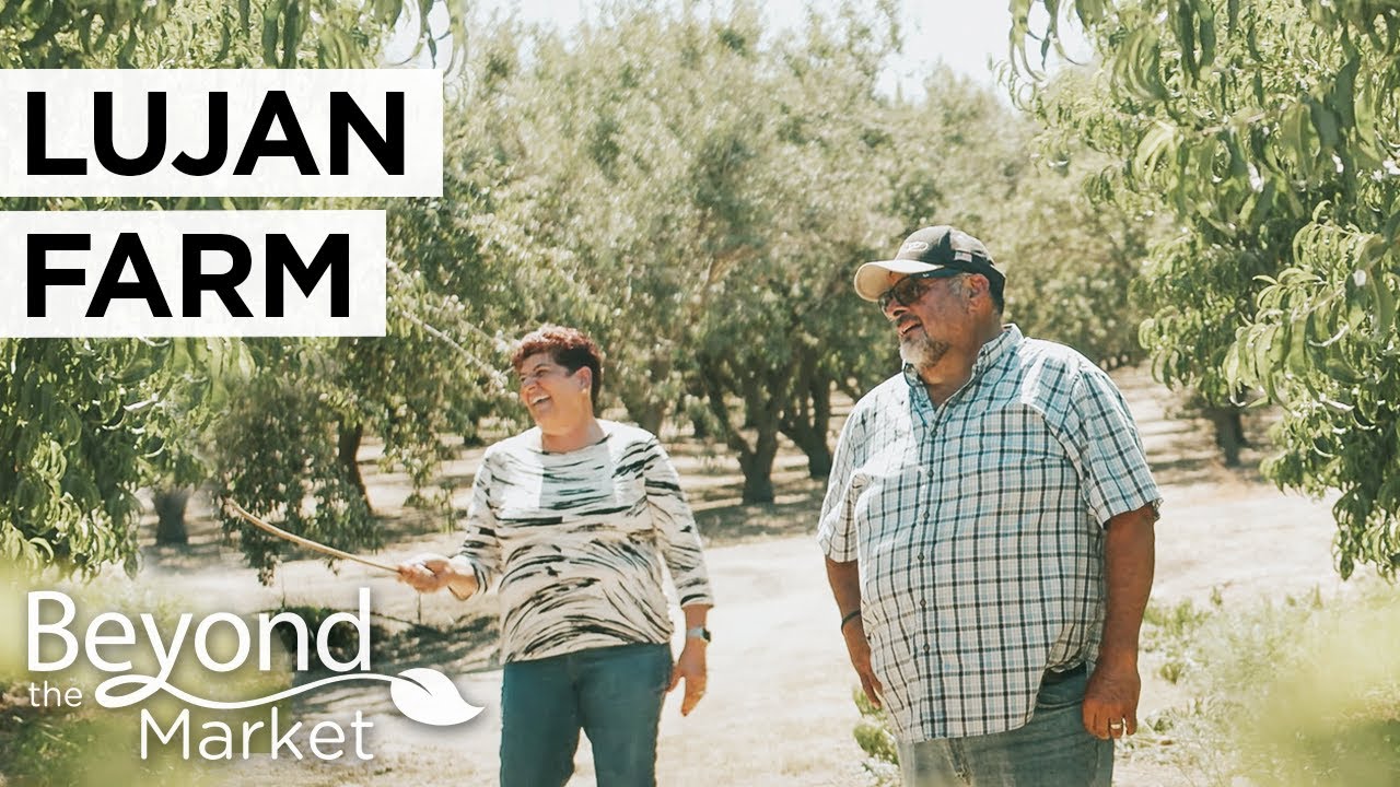From Farm to Market with Lujan Farms - YouTube