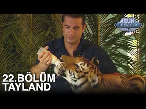 Acun Firarda 22. Bölüm | Tayland