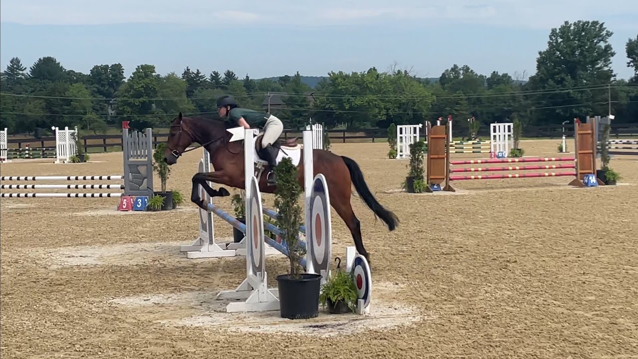 Princeton Show Jumping “A” Rated 2’6”/2’9” Stadium Jump Course - YouTube