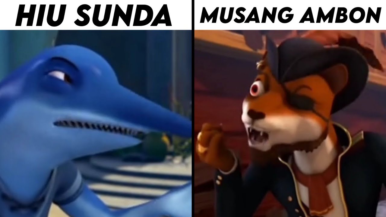 Hiu Sunda & Monyet Madura - Paddle Pop Bahasa Daerah - YouTube