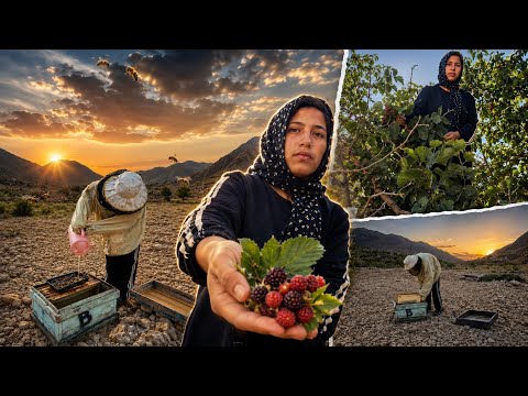⚡ Zeinab, kabilenin kalbinden cesur bir kız | Arıcılık mücadelesi 🐝 ve yabani meyveler 🍓