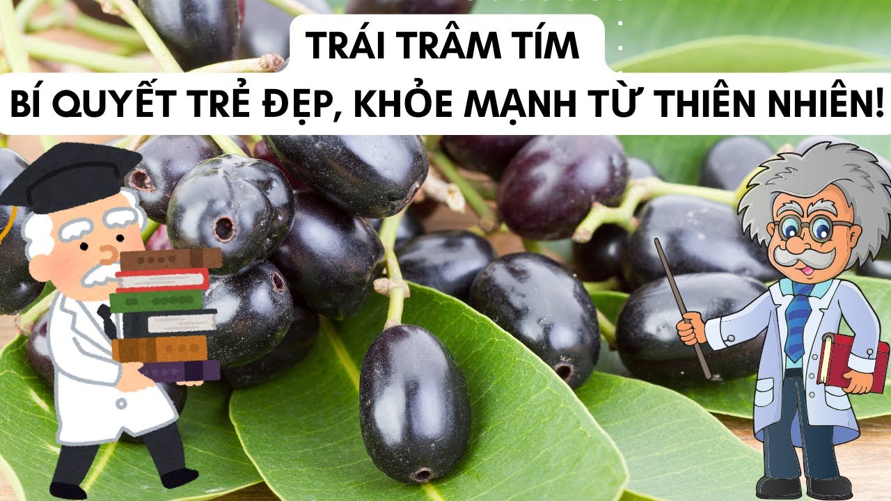 Trái Trâm Tím - Bí Quyết Trẻ Đẹp, Khỏe Mạnh Từ Thiên Nhiên! - YouTube