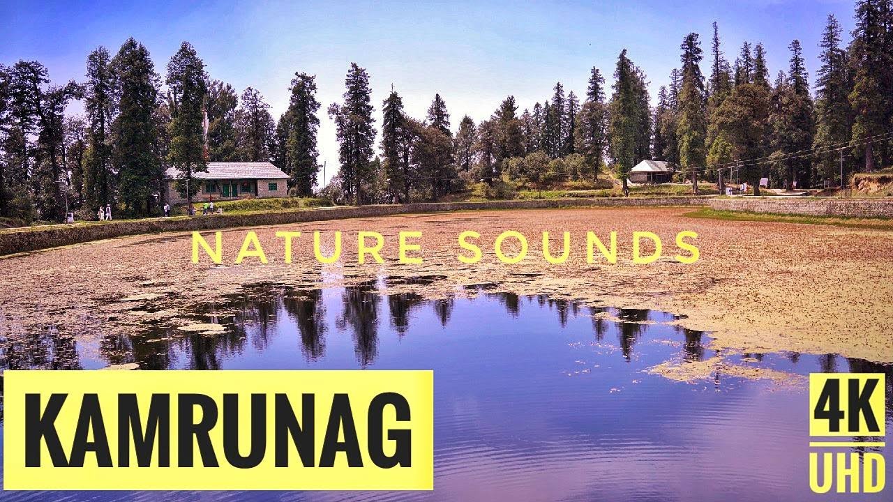 Hike to Kamrunag Lake through the forest - Kamrunag Dev - YouTube