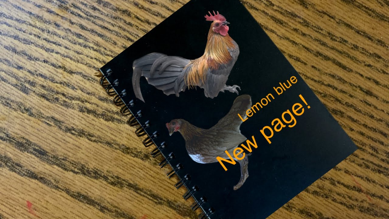 Una nueva pagina en el libro de mis lemon blue - YouTube