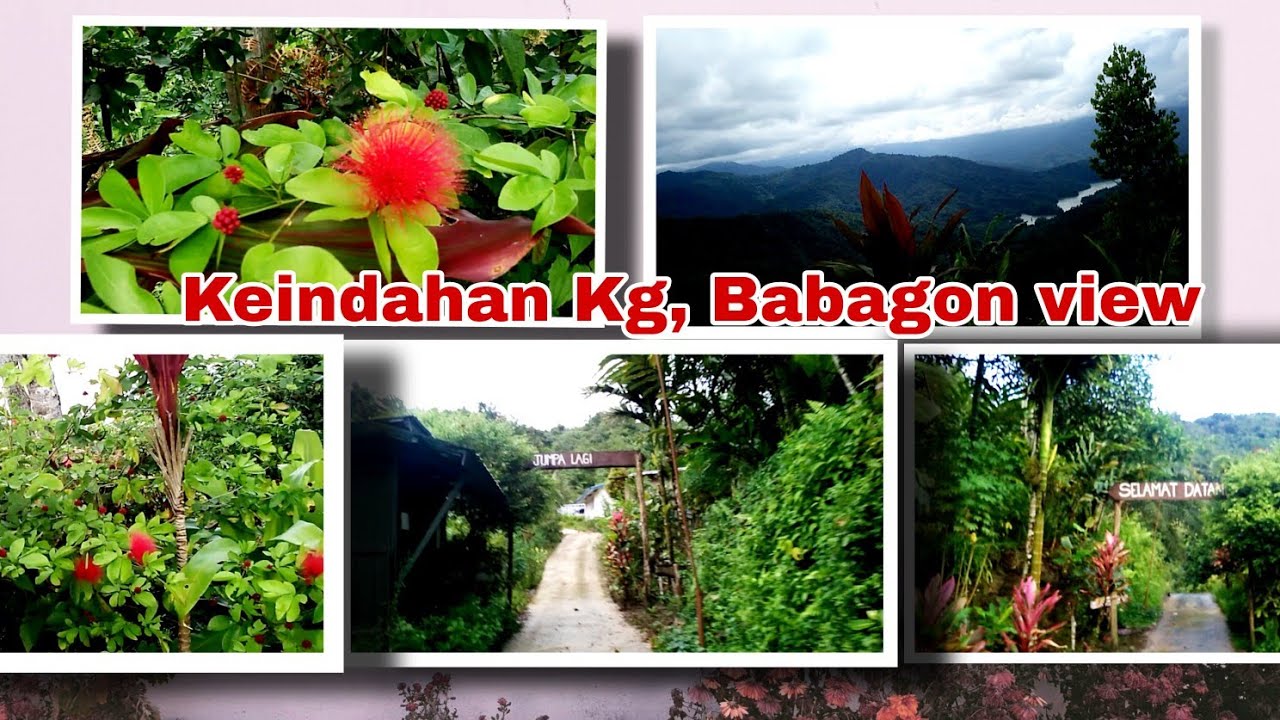 Mari Lihat View Kg Babagon Toki Omg😱😱 *(Nice View)* - YouTube