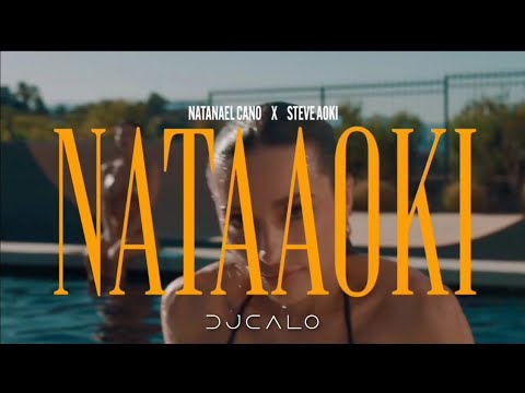 Natanael Cano x Steve Aoki - NataAoki [DjCalo] [Extended] - YouTube