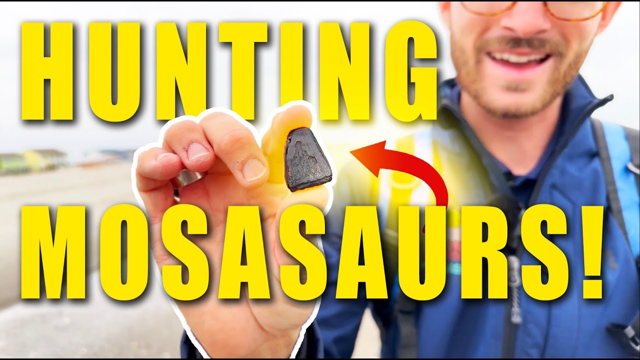 Shark Tooth Hunting the Carolinas: Holden Beach, NC - YouTube