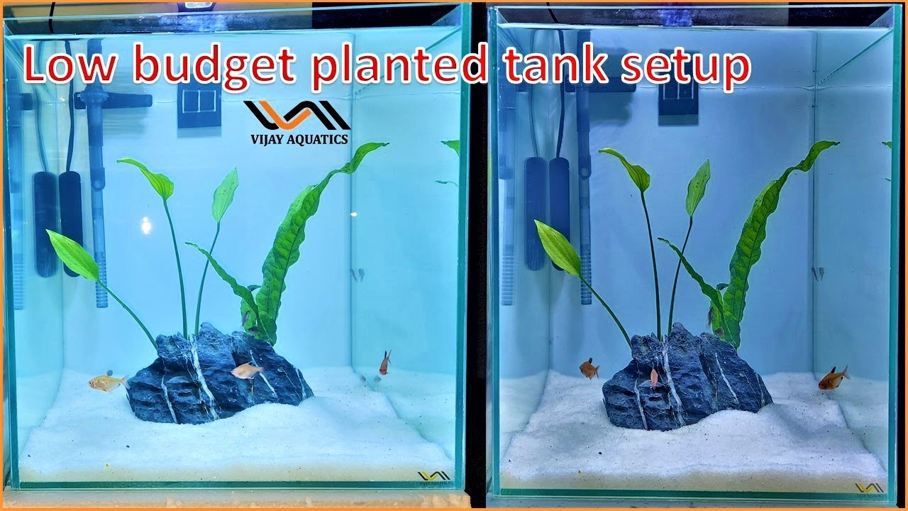 Island tank setup easy and simple at low budget under 500rs - YouTube