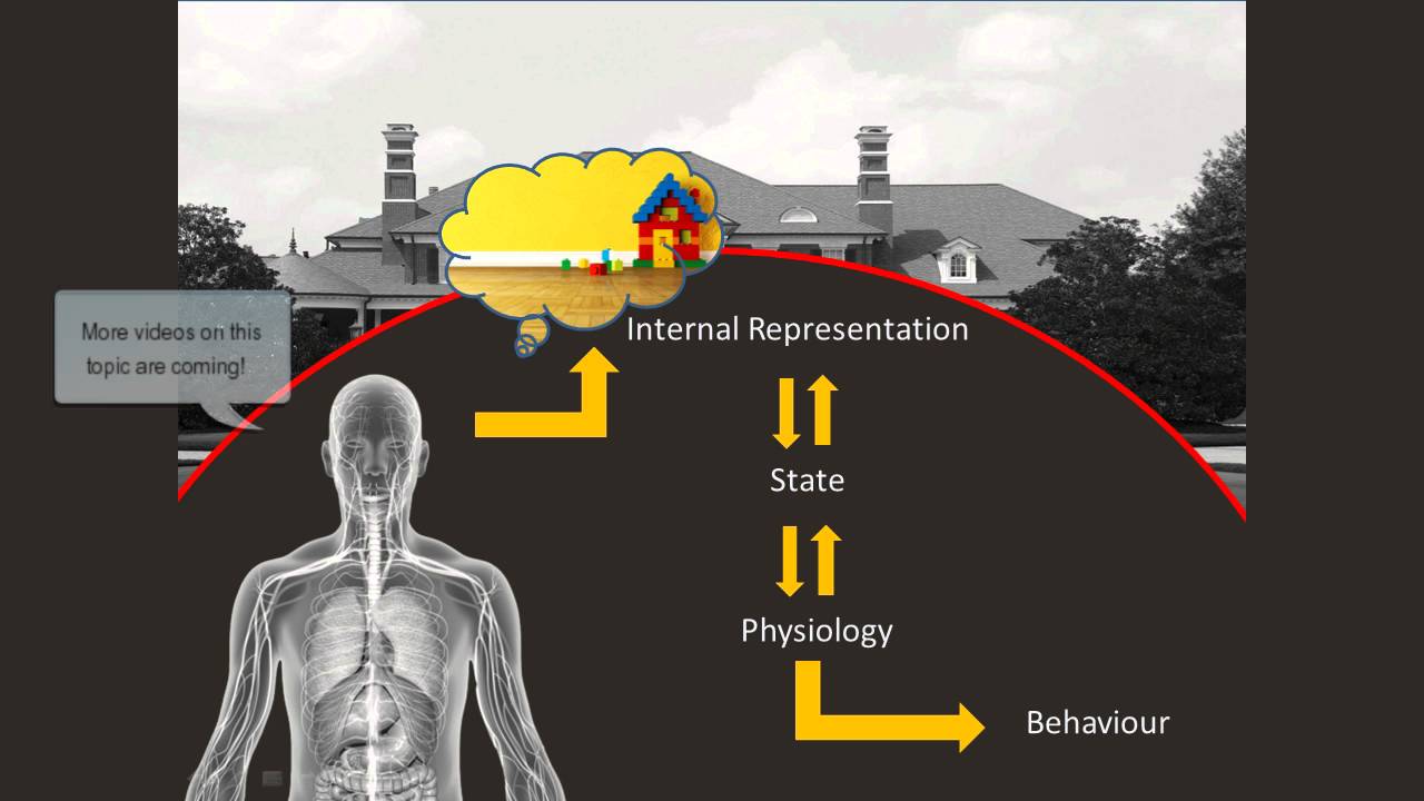 How We Interpret The World (The NLP Communication Model) - YouTube