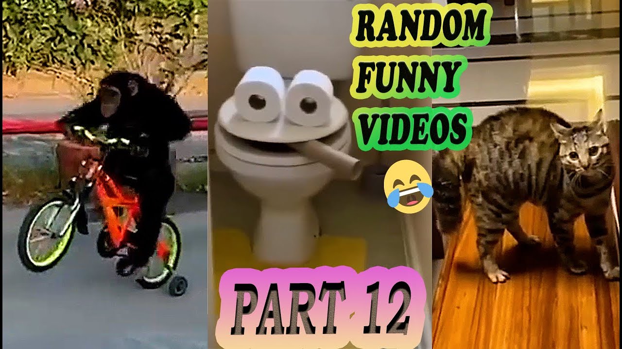 FUNNY VIDEOS COMPILATION😂 BEST FUNNY VIDEO 🎯 PART 12 - YouTube
