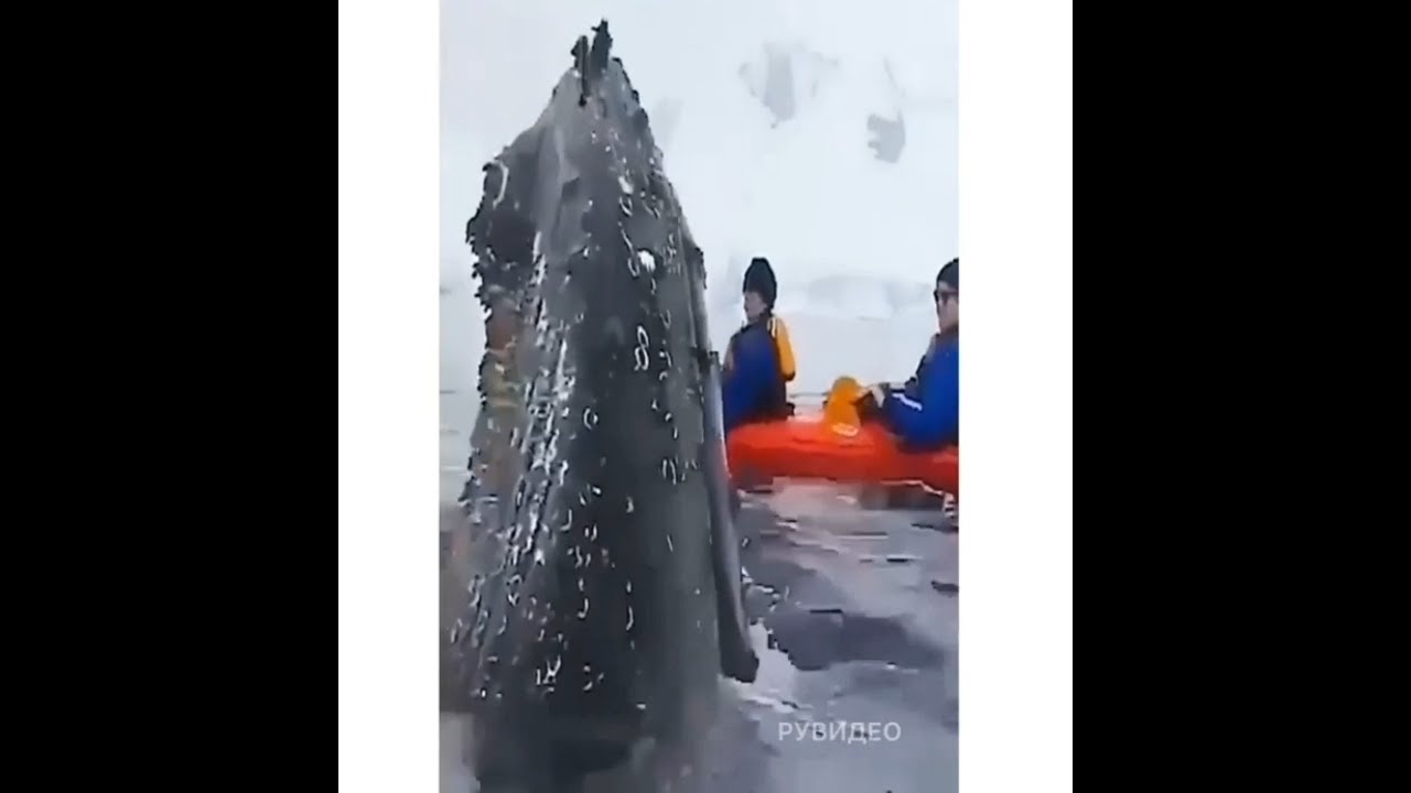 Instant Regret - Fails Compilation | Funny Fails | Memes | Best Fails ...