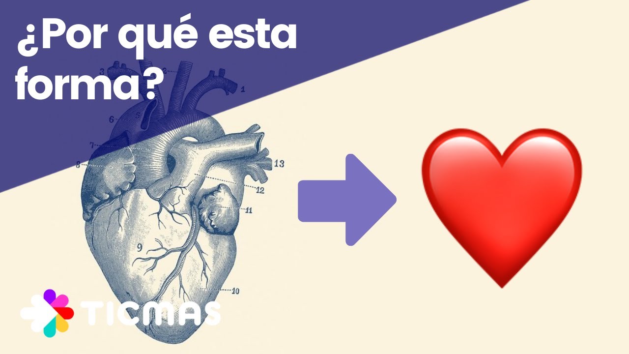 🤔 ️ ¿Por qué dibujamos el corazón de esta forma? ️ 🤔 - YouTube