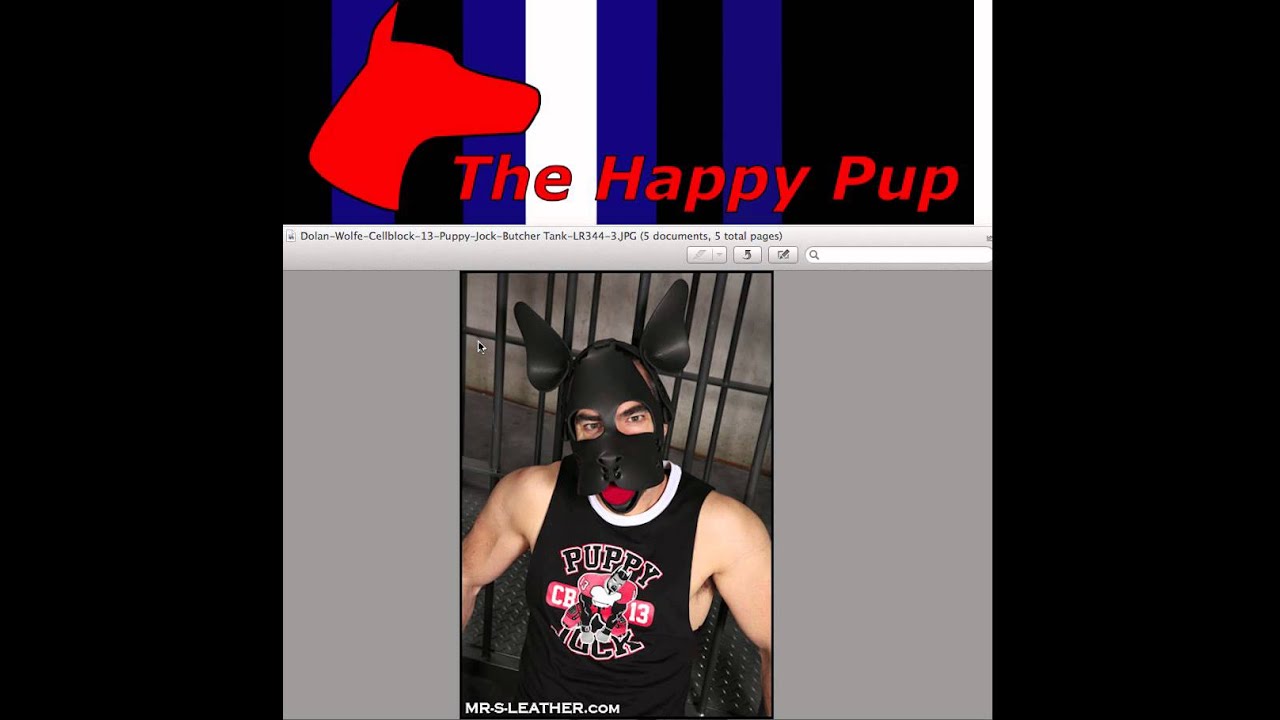 Why I Love Human Pup Play Shirts | The Happy Pup | Gpup Alpha - YouTube