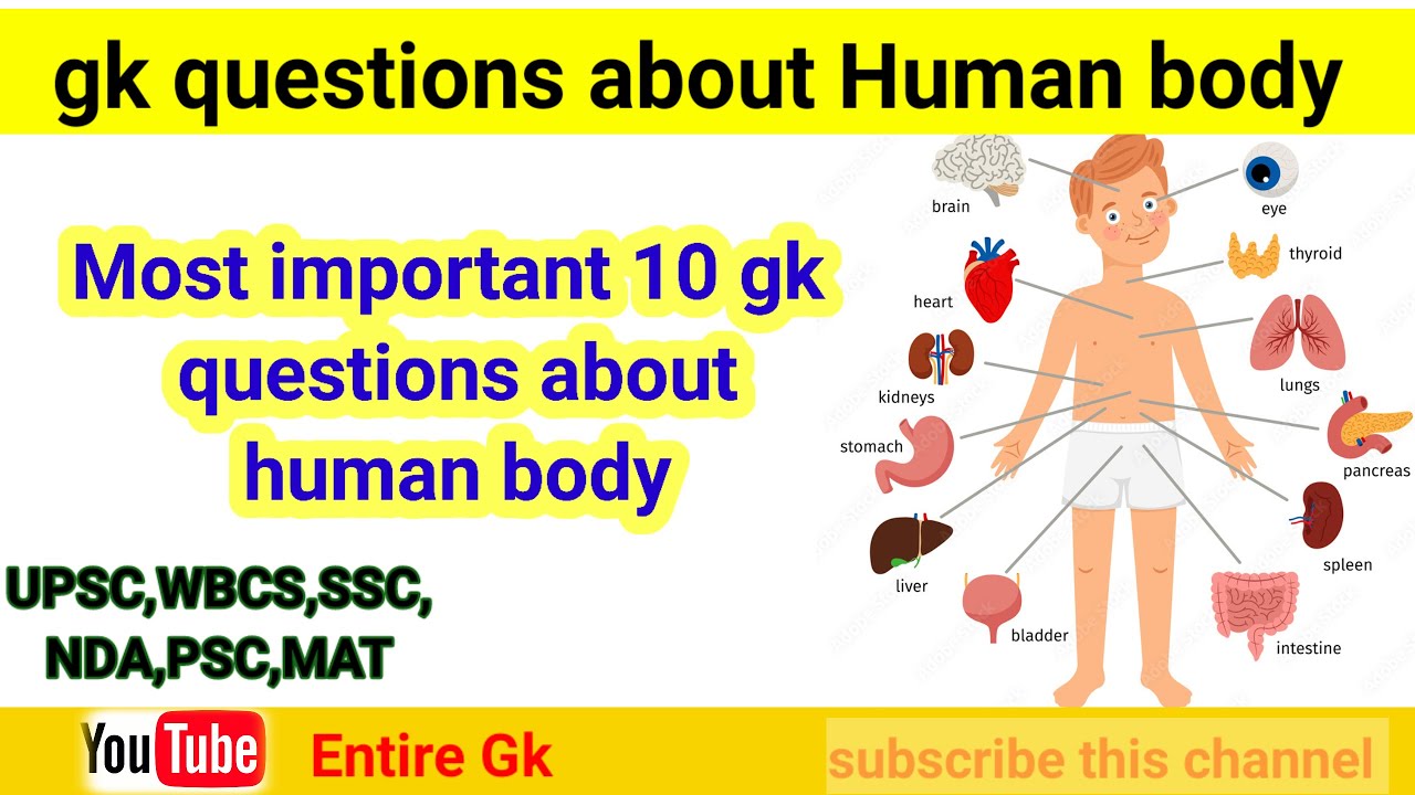 Top 10 gk question about human body || Gk questions and answers || #gk ...