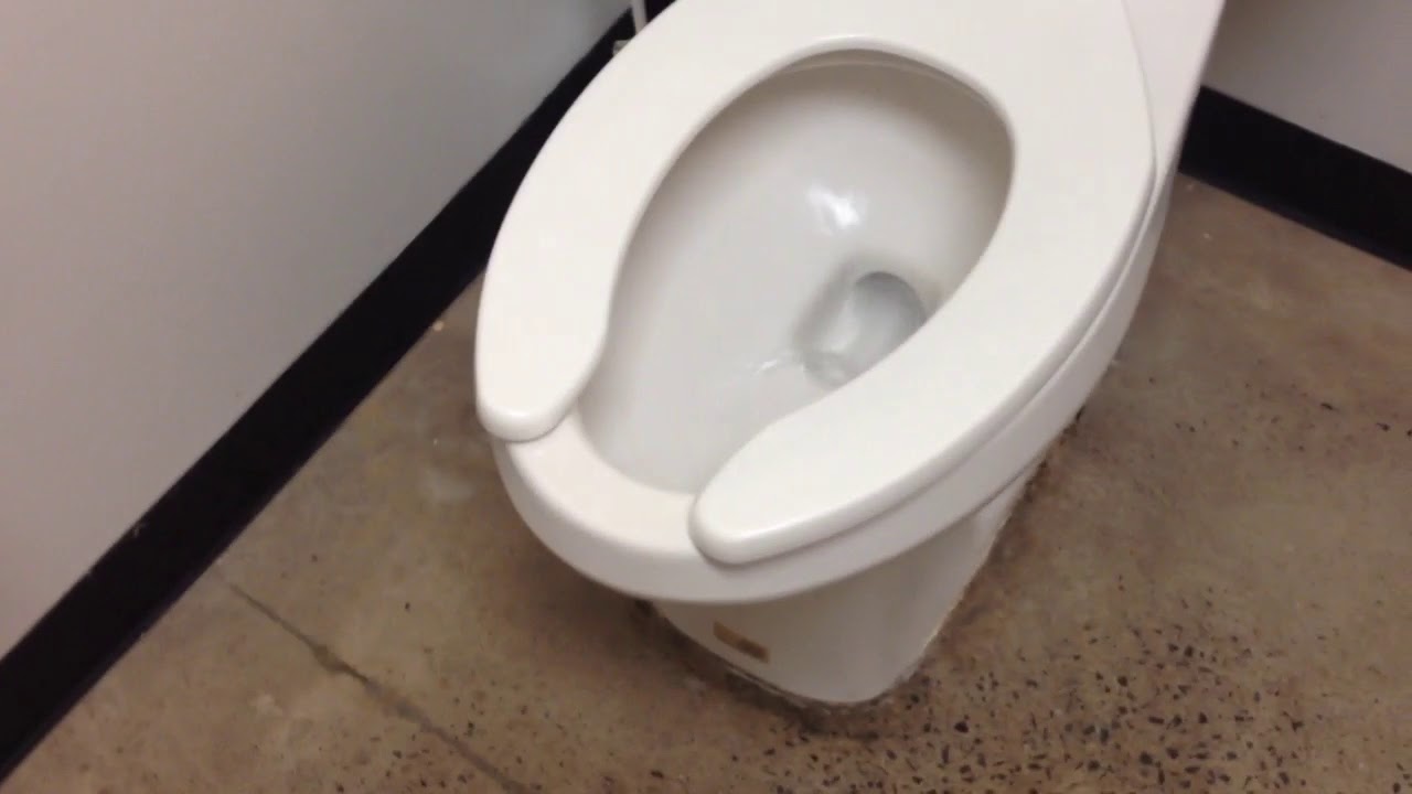 234: Petsmart New York Men's Restroom (Full Shoot | No Urinal) - YouTube