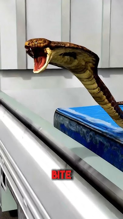 How To Survive A Snake Attack 😦 - YouTube