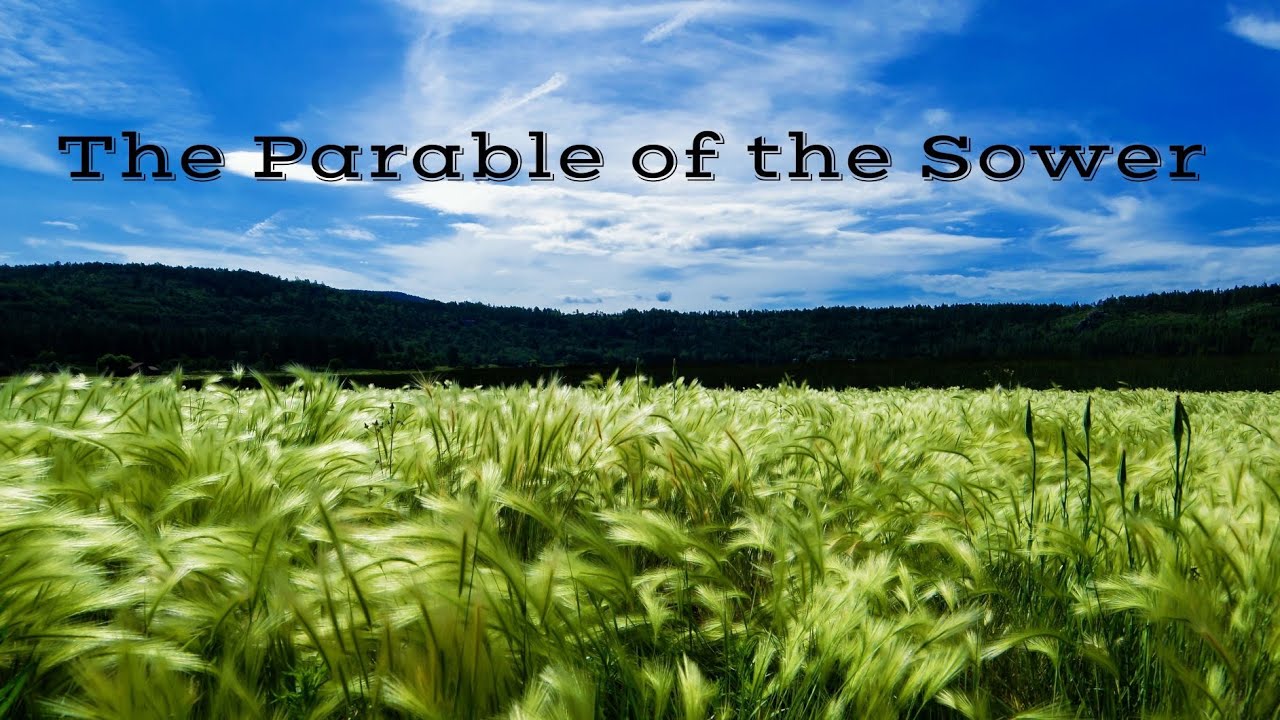 LUKE 8:4-15 | The Parable of the Sower - YouTube