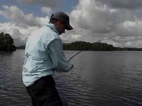 Fishing Venezuela Rio Chico - YouTube