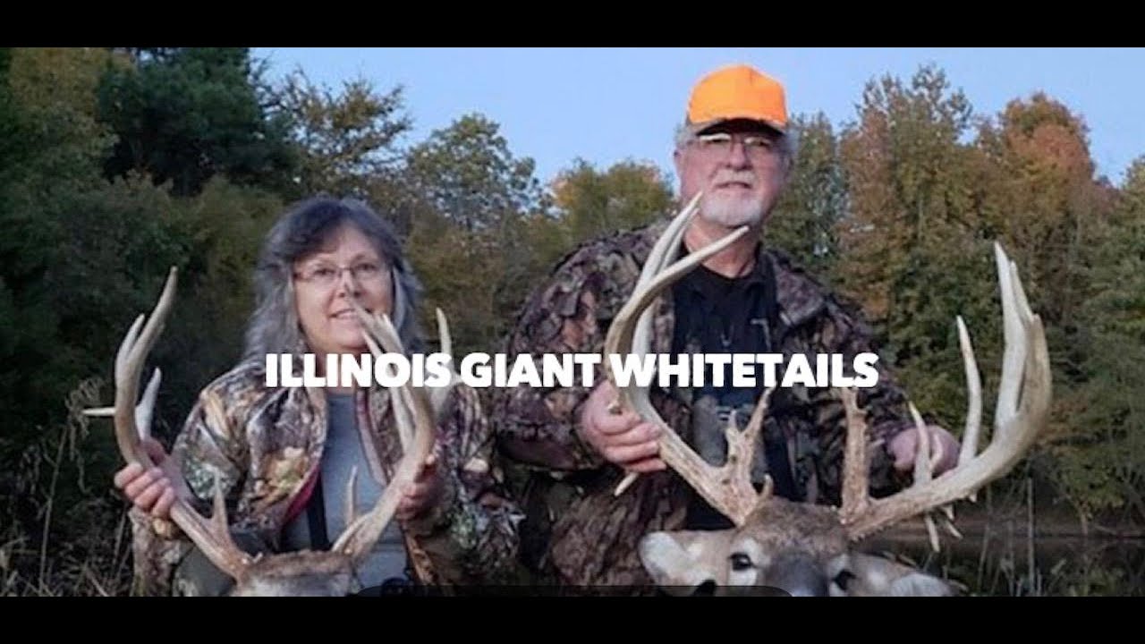 230 inch giant buck. - YouTube