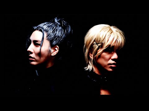 The Midnight Romance X TANAKA - '검은고양이(BLACK CAT)' MV