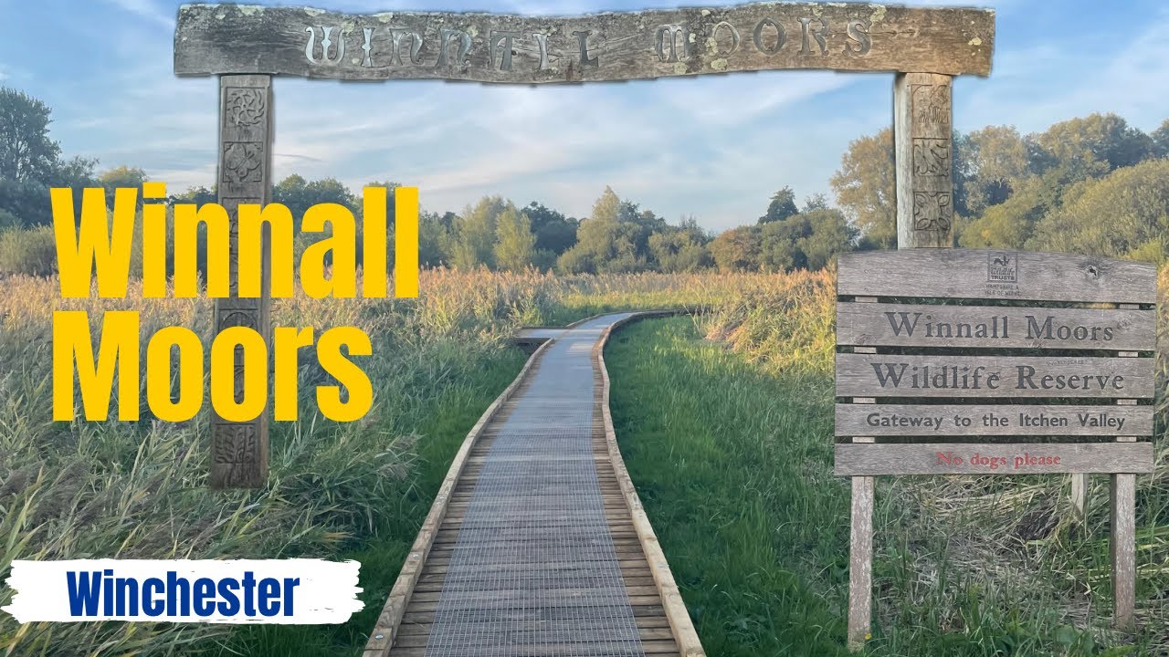 Walk Around Winnall Moors Nature Reserve, Winchester - YouTube