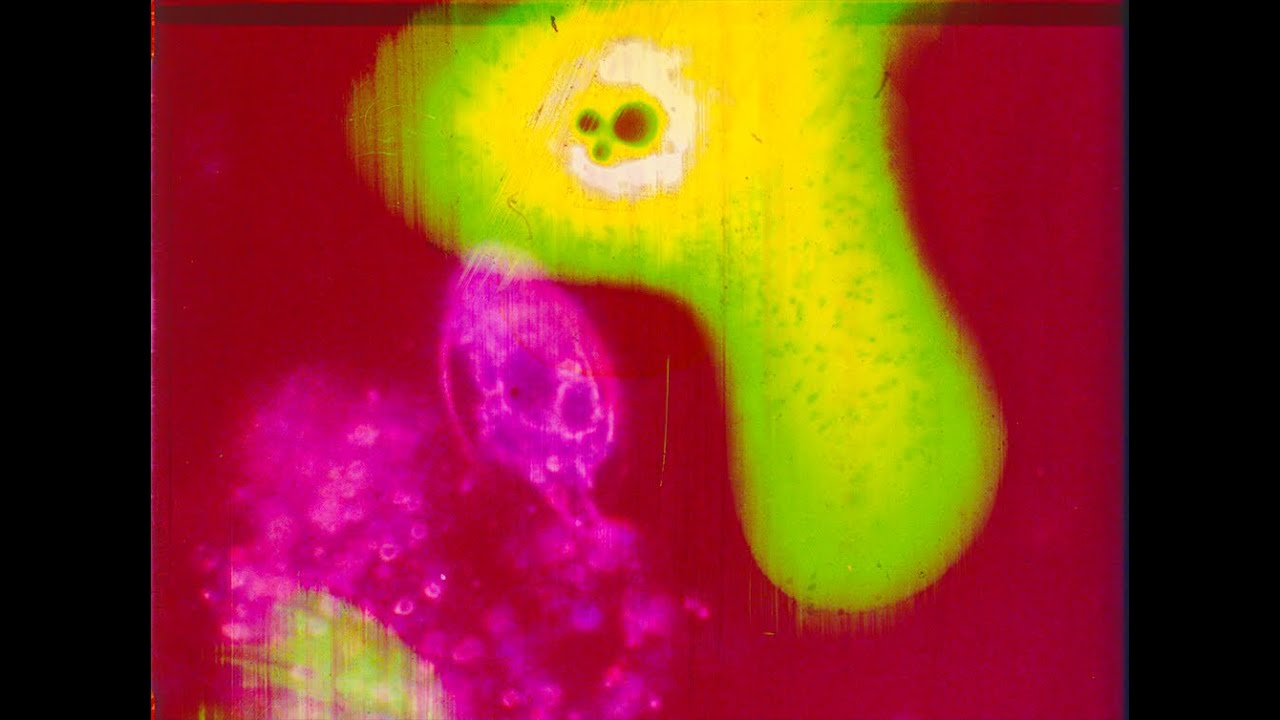 Lensless experimentation on 16mm film - colourful visual effects - YouTube