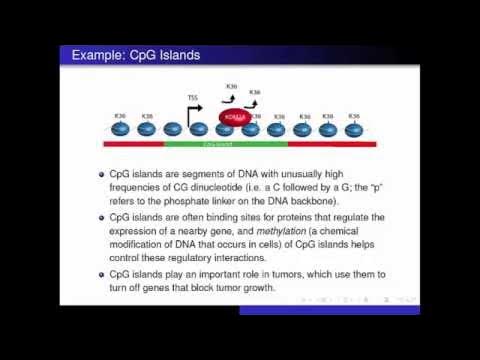 CpG Islands Lec - Intro to Bioinformatics (UCLA) - YouTube