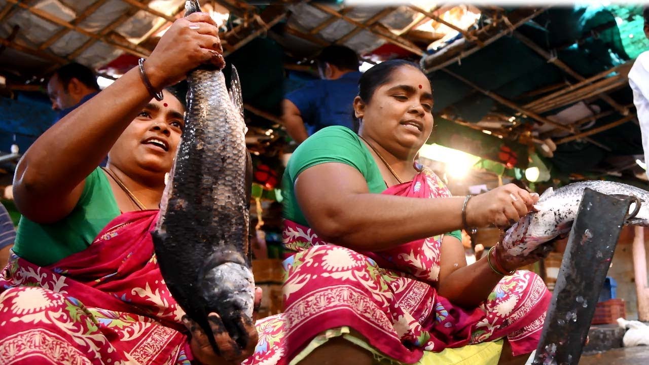 Amazing Live FISH Cutting Skills By Woman | Fresh FISH Cutting by ...