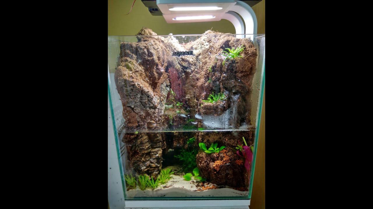 DIY budowa Vivarium, Riparium, Paludarium w kostce 30l - YouTube