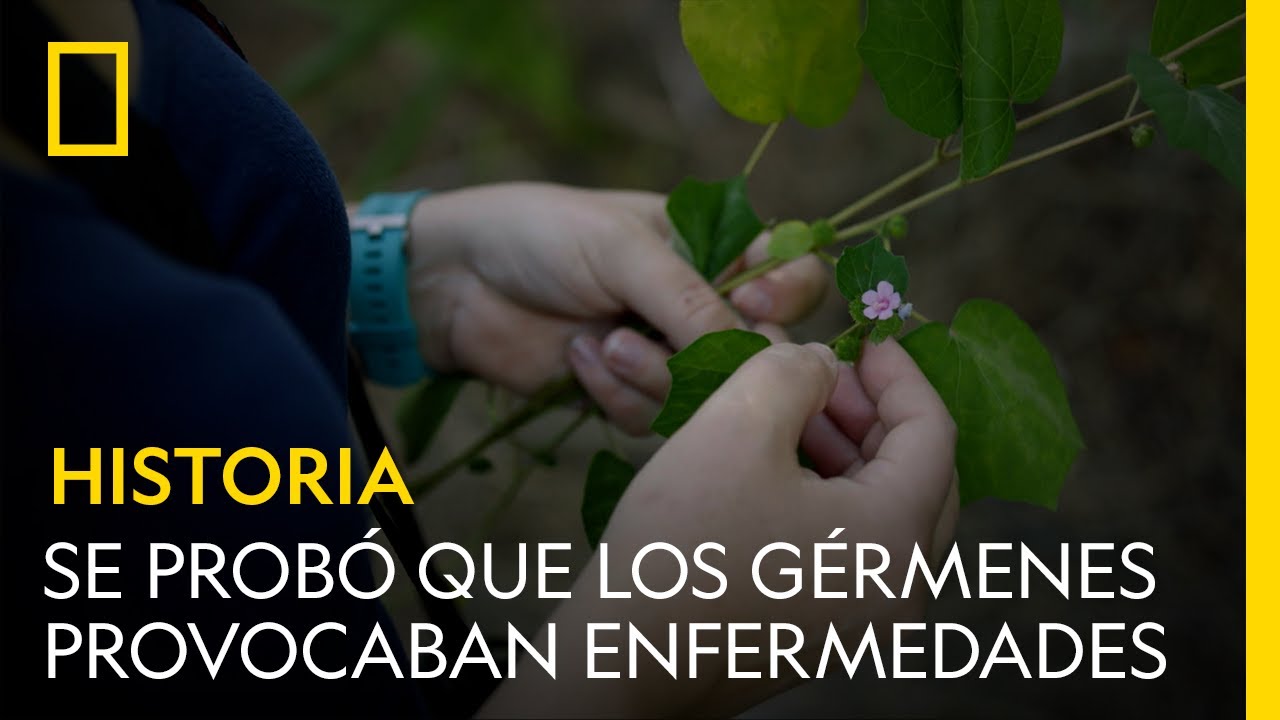 Así se probó que los gérmenes provocaban enfermedades | NATIONAL ...