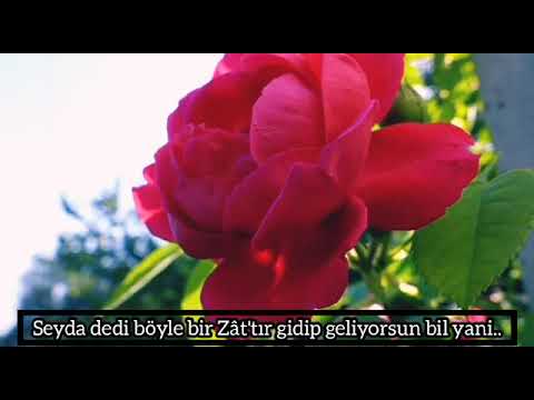 Rüyada Allah'ı Görmek..