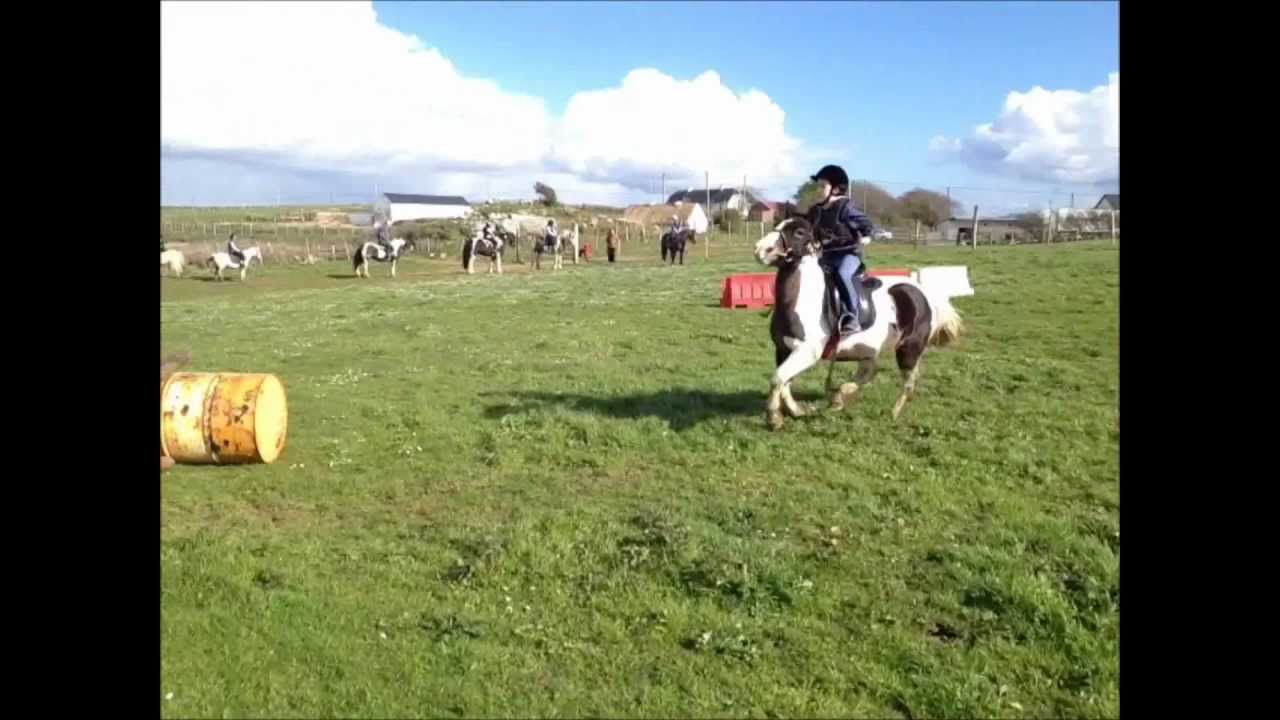 Ponies jumping in the field - YouTube
