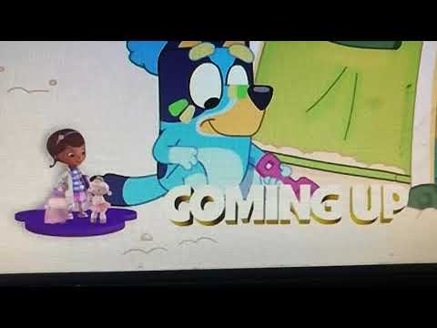 Bluey & Doc McStuffins Coming Up Screen Bugs - Disney Junior - YouTube