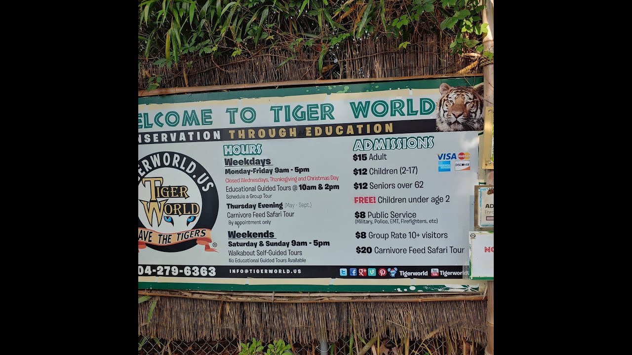 Tiger World, Rockwell NC - YouTube