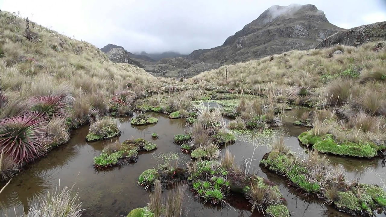 Cumbre Tours Ecuador Promo Video - YouTube