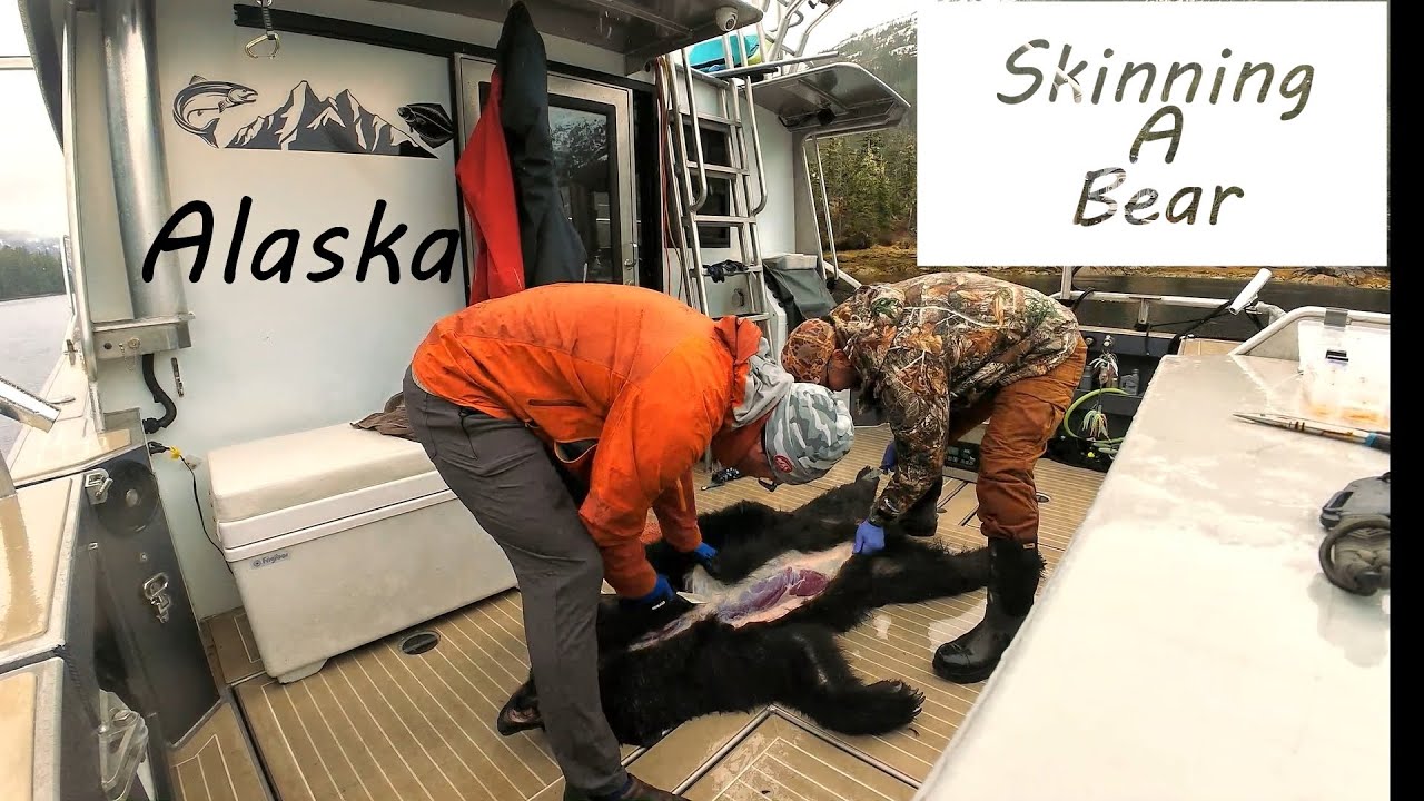 Bear Skinning on a boat in Prince William Sound, Alaska - YouTube