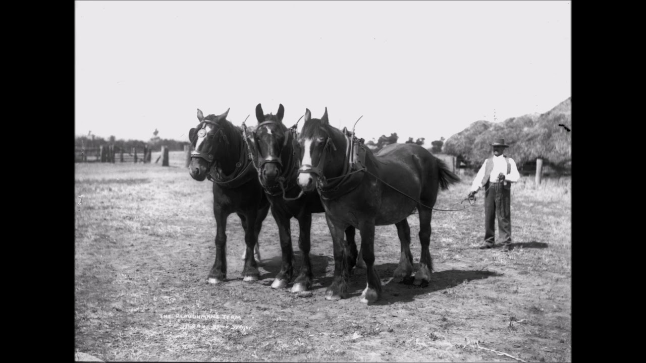 The Ploughboy's Dream - YouTube
