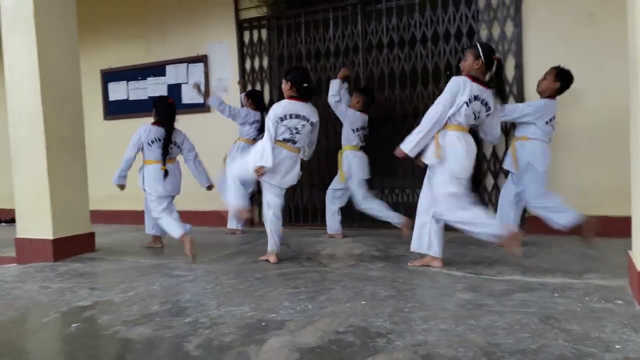 diliprajthala & Player's Chaughada Taekwondo DOJANG 3rd group 2nd ...