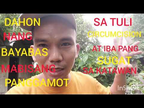 DAHON NG BAYABAS GAMOT SA BAGONG TULI CIRCUMCISION AT IBA PANG SUGAT SA KATAWAN KAYANG ...