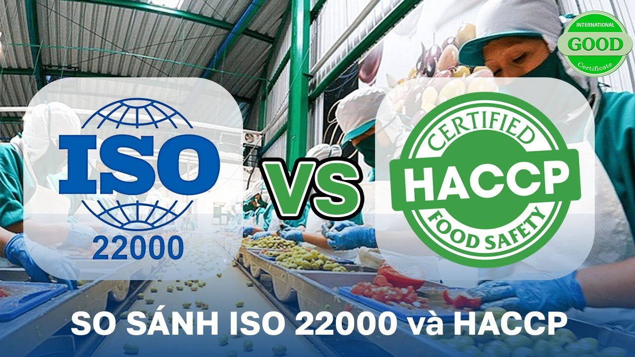 So sánh ISO 22000 và HACCP - Doanh nghiệp nên lựa chọn tiêu chuẩn nào ...