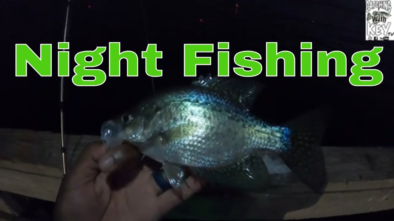 Drop shot Crappie fishing from the bank. - YouTube