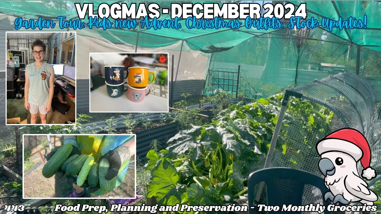 443 - Vlogmas! Sunday Chat, Garden updates, Order Updates, 1st December ...