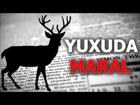 Maral gormek yuxuda nece yozulur yuxuda maral gormek