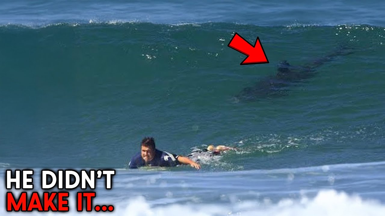 The WORST Shark Attacks Ever Recorded! - YouTube