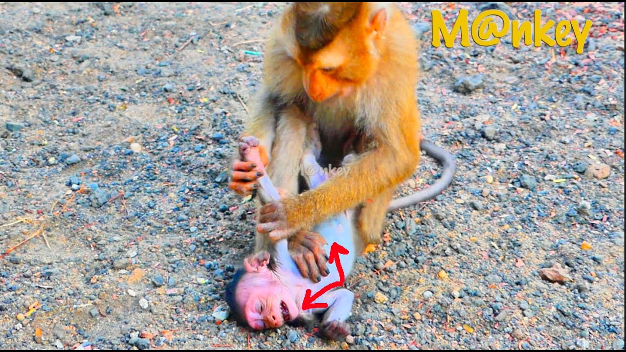 Amazing..! Susan does this to baby Rain in front of the princess in ...